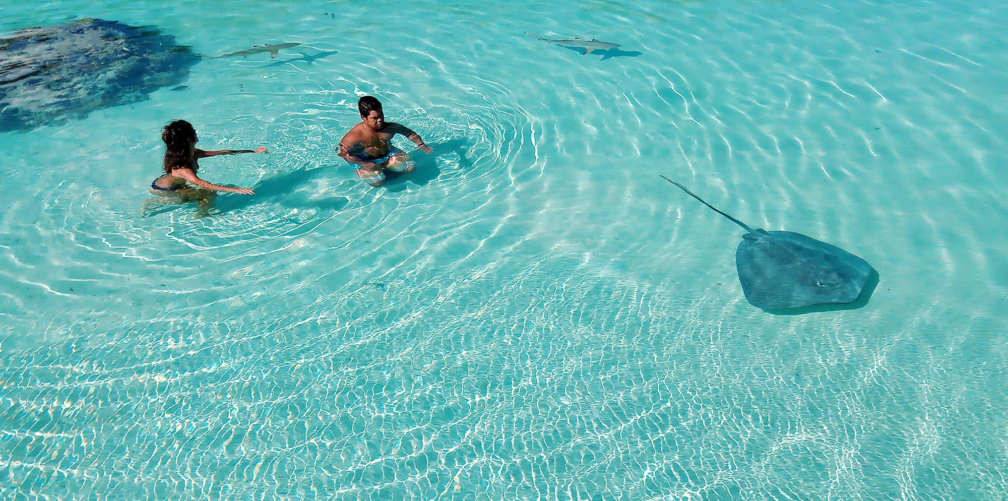 Boat Excursions and lagoon tours in Moorea, French Polynesia - Moorea ...